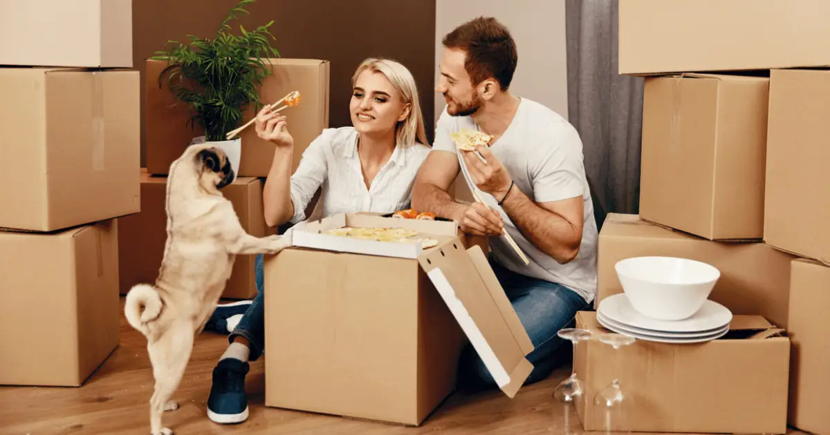 Sushi & Dogs - Is It a Right Combination?