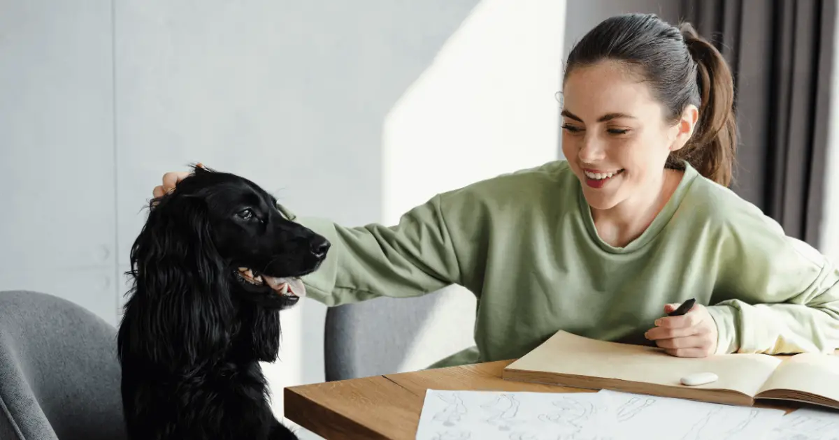 5 Best Places Where Dogs Like To Be Petted