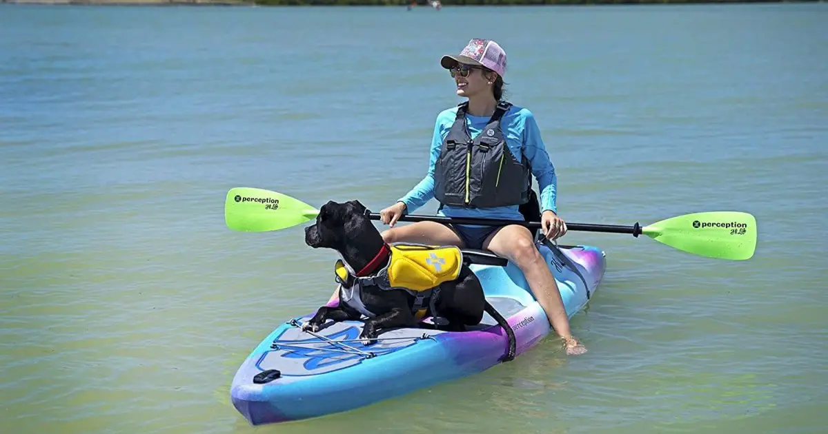 5 Best Kayaks for Dogs & How to Pick One - World Dog Finder