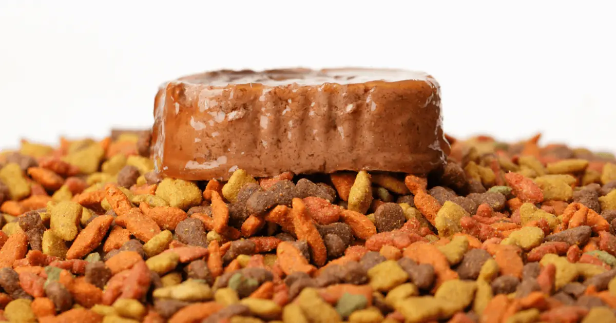 Top 3 Dog Food Toppers To Choose