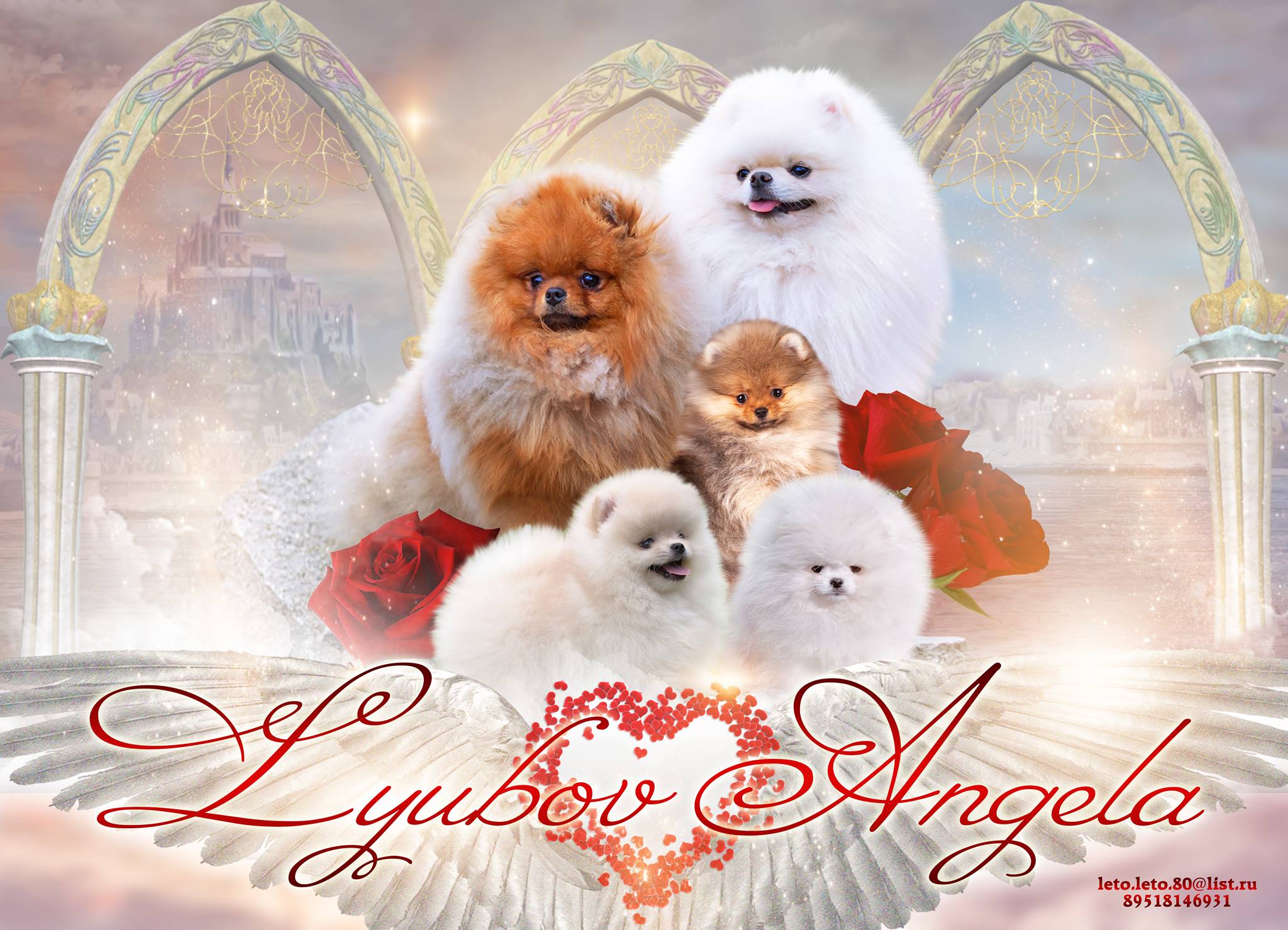Lyubov Angela Dog breeder