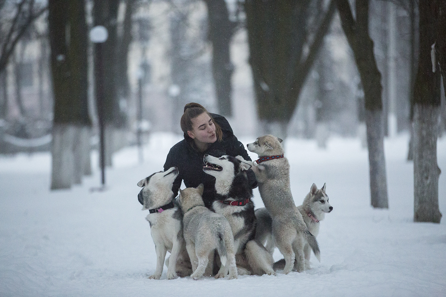 Happy Town Dog breeder