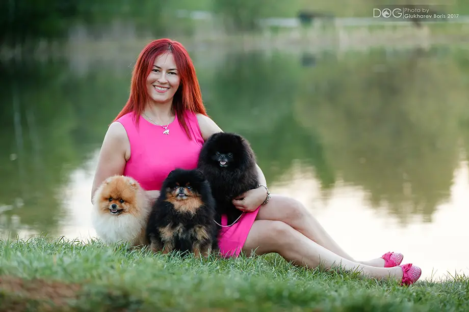 Grand iz Ruzy Dog breeder