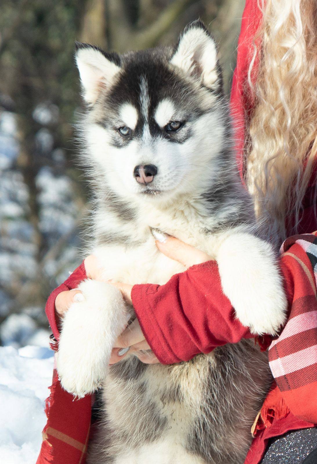 F' GOOD TO PRAISE THE LORD GOD'S CREATURES