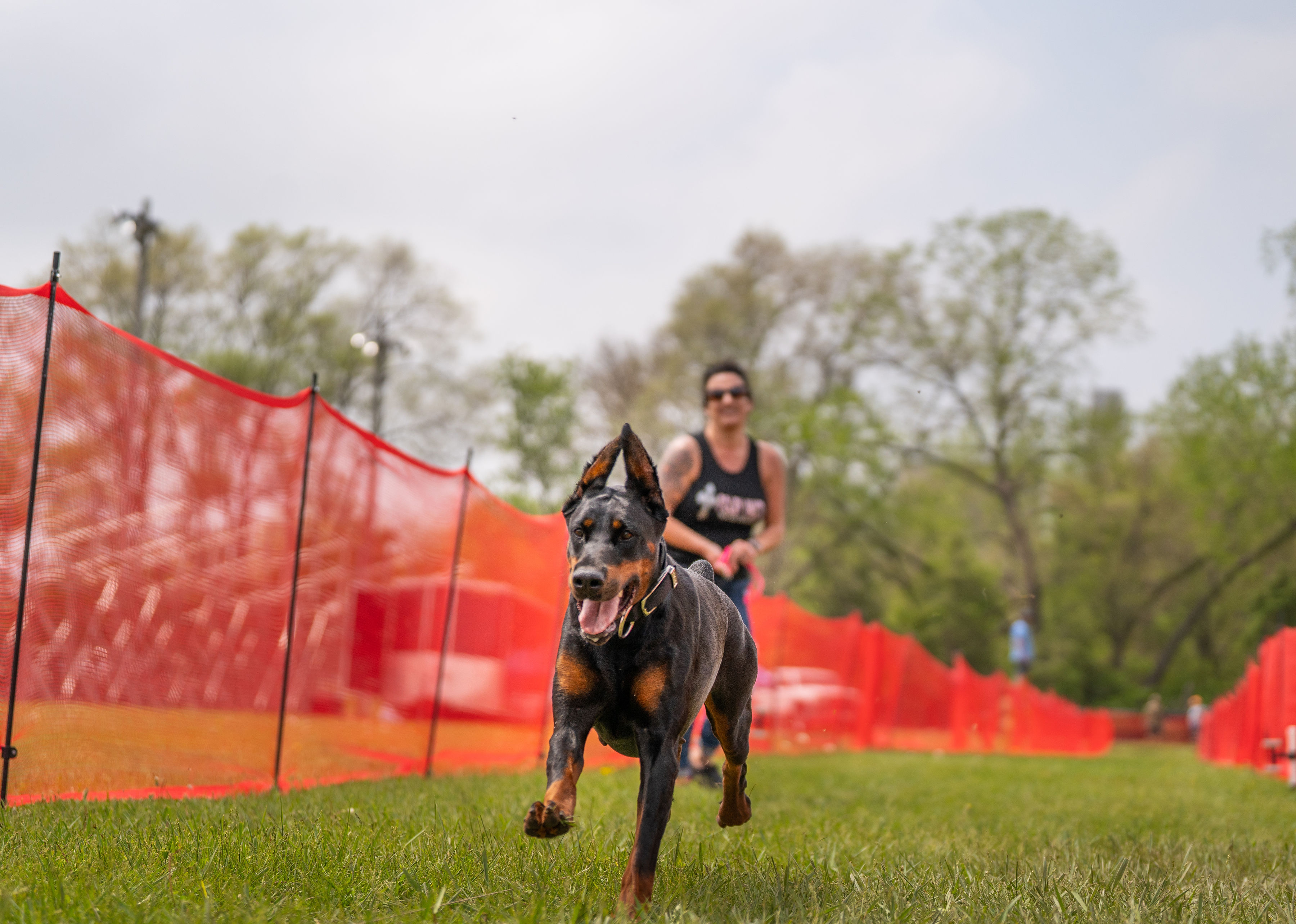 Versailles Magnifique Florenzia