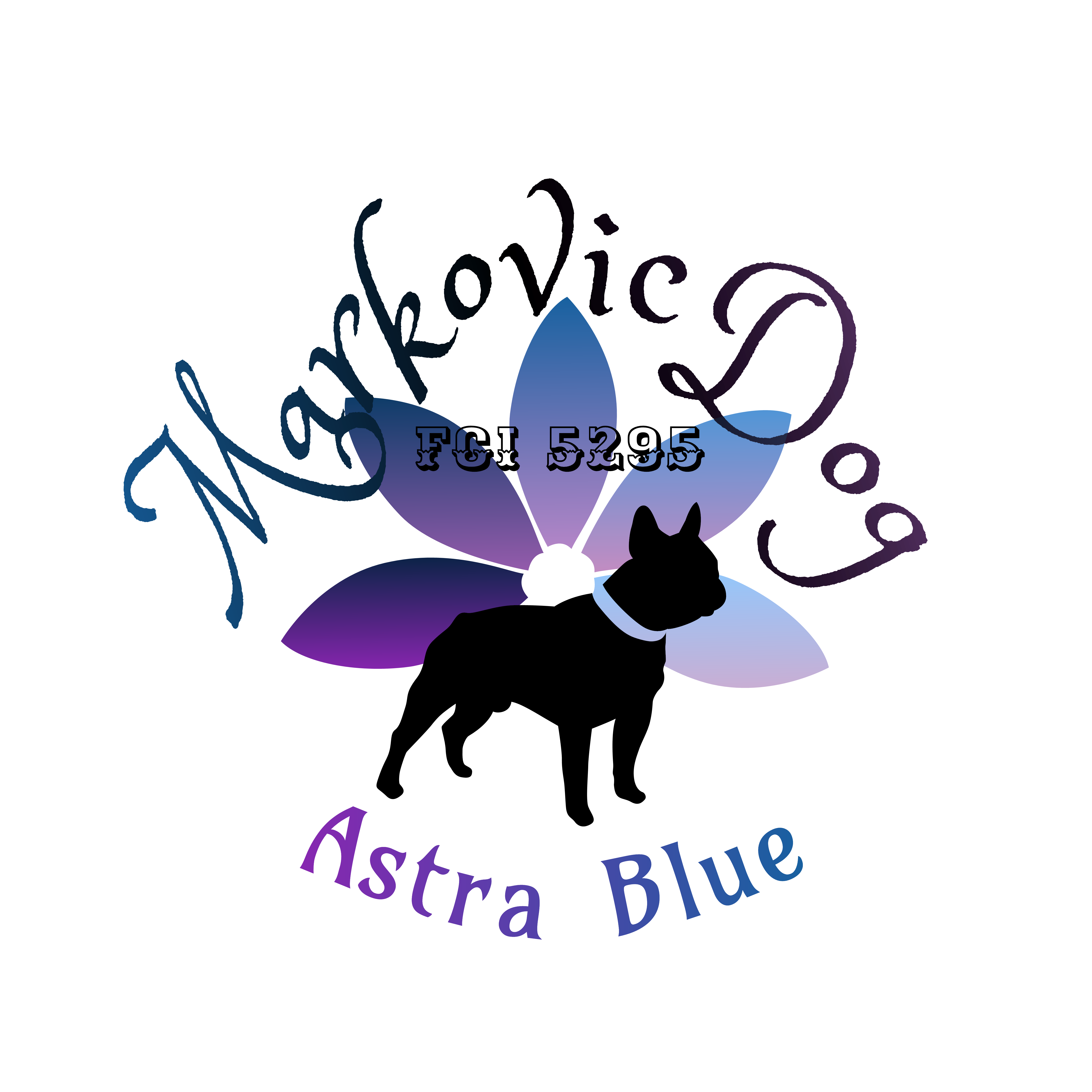 Markovicdog Astra Blue Dog breeder