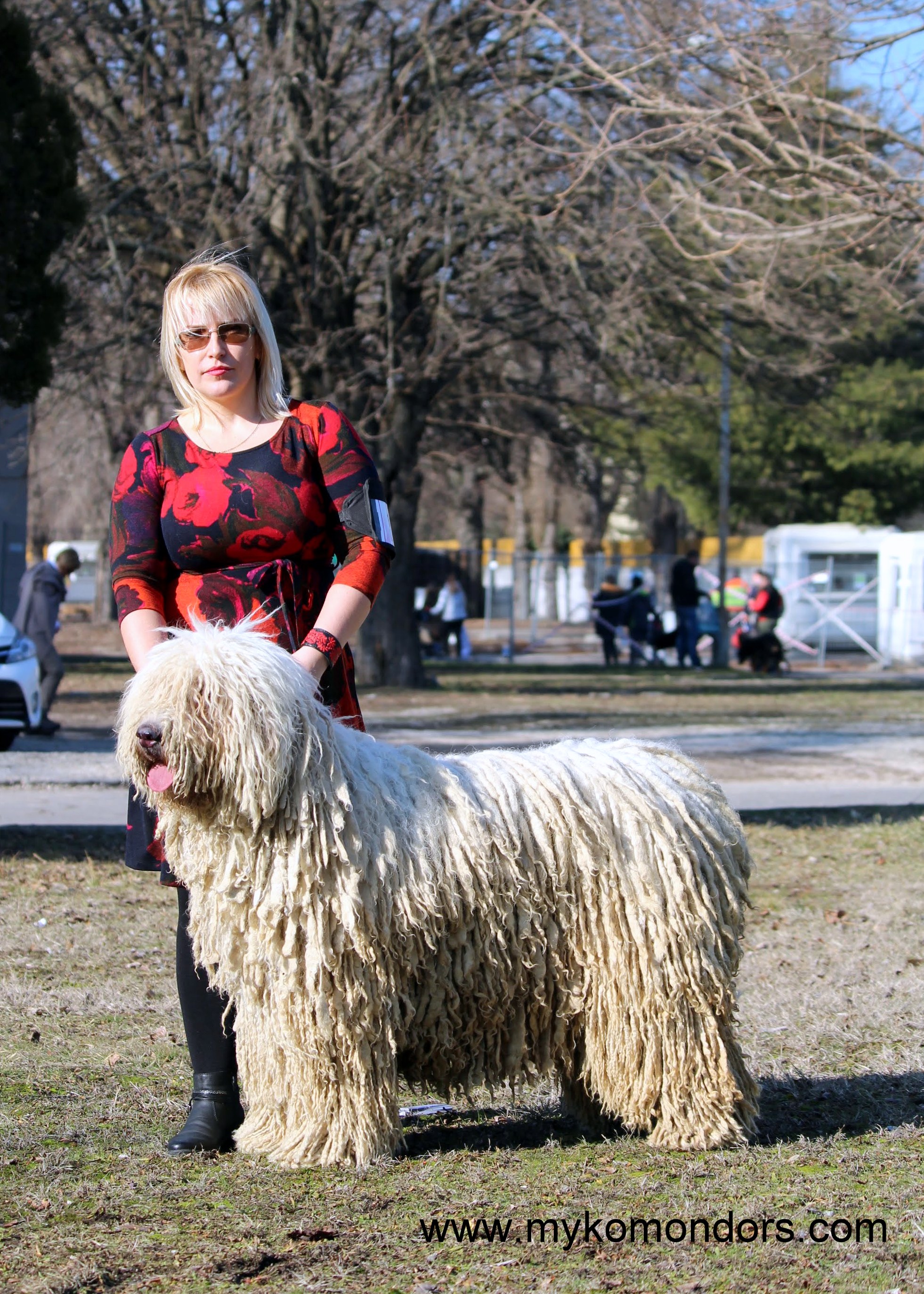 Somogyi Betyár Dog breeder