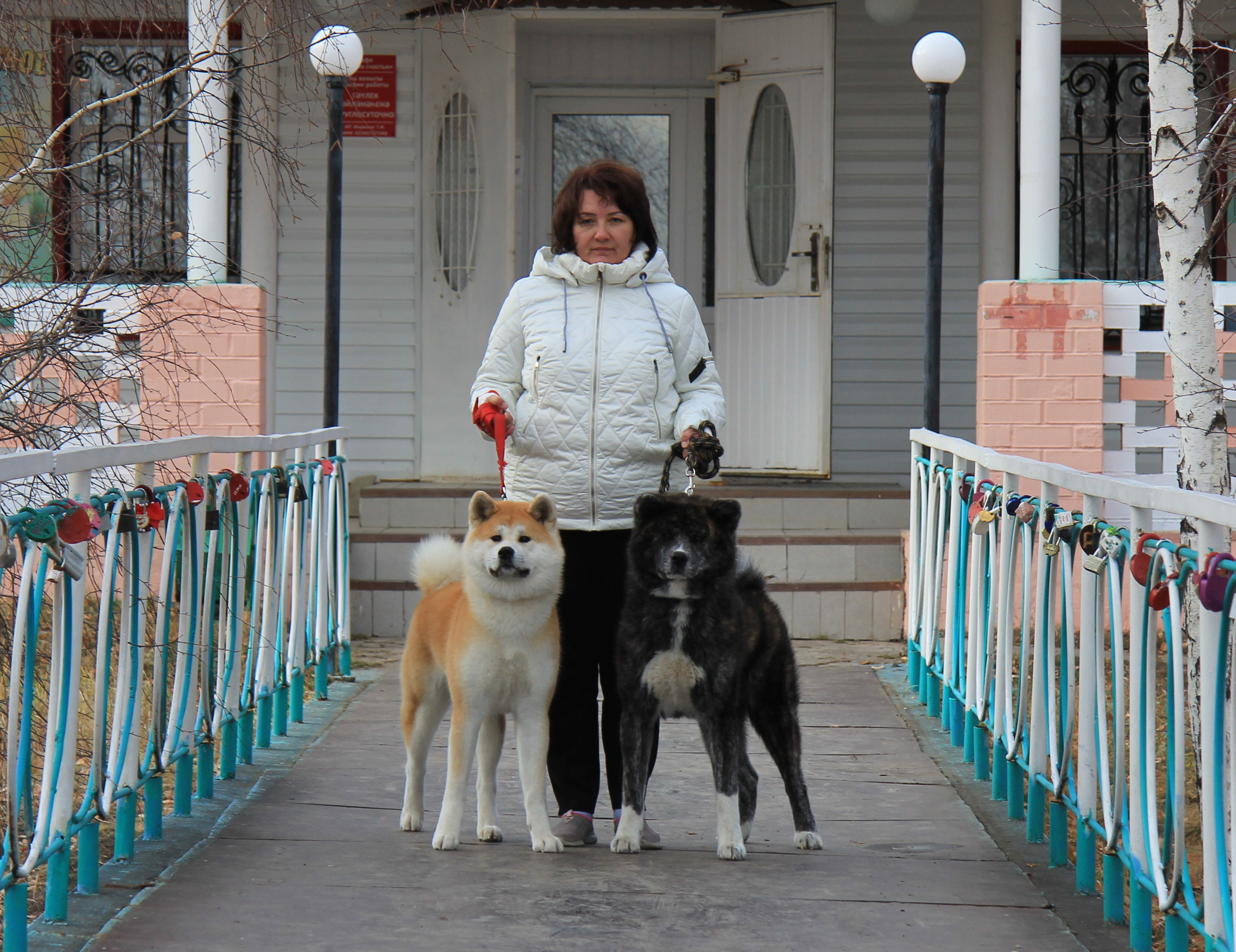 GO TAIYO TO UMI Dog breeder