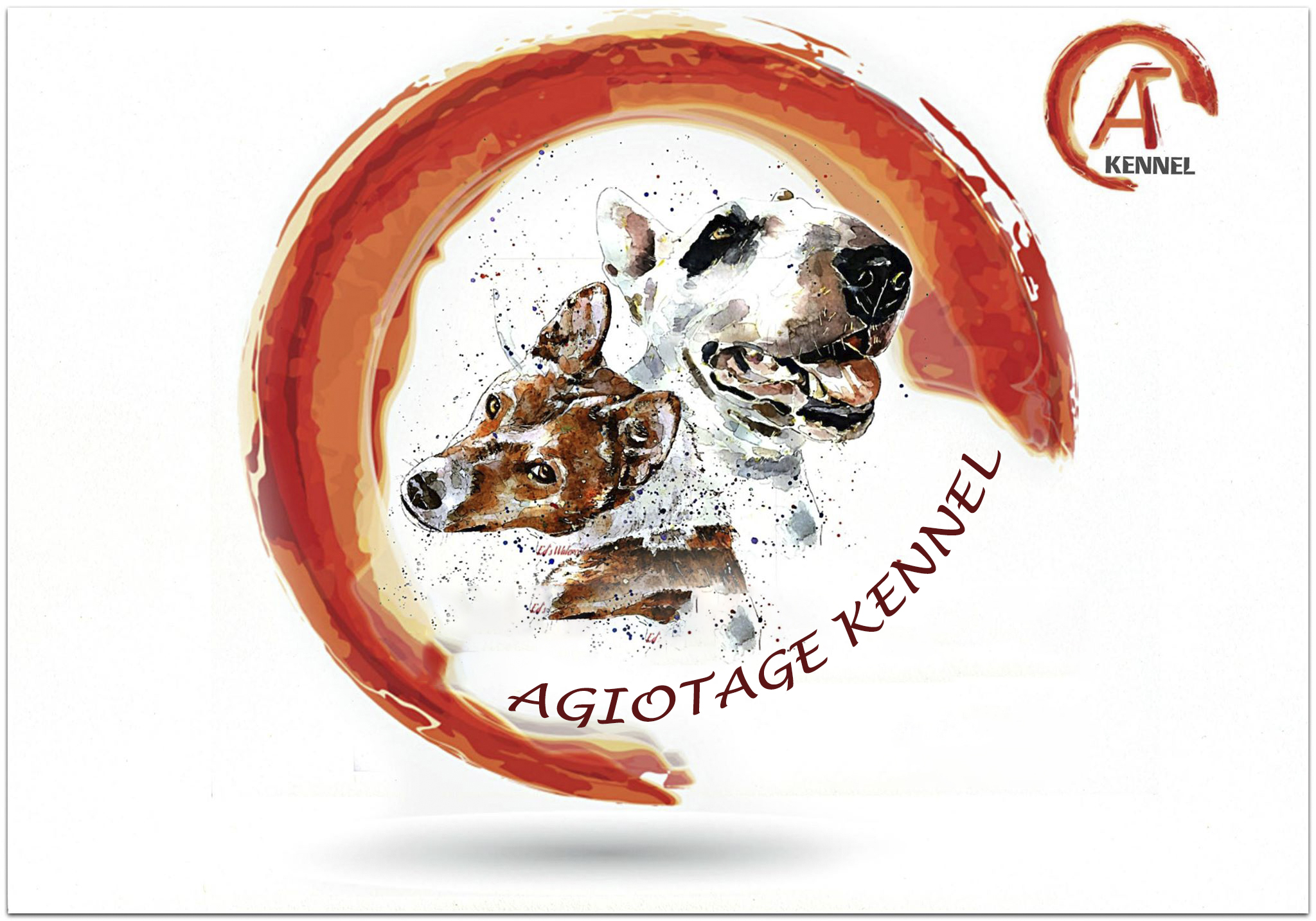 Agiotage Criadero de perro