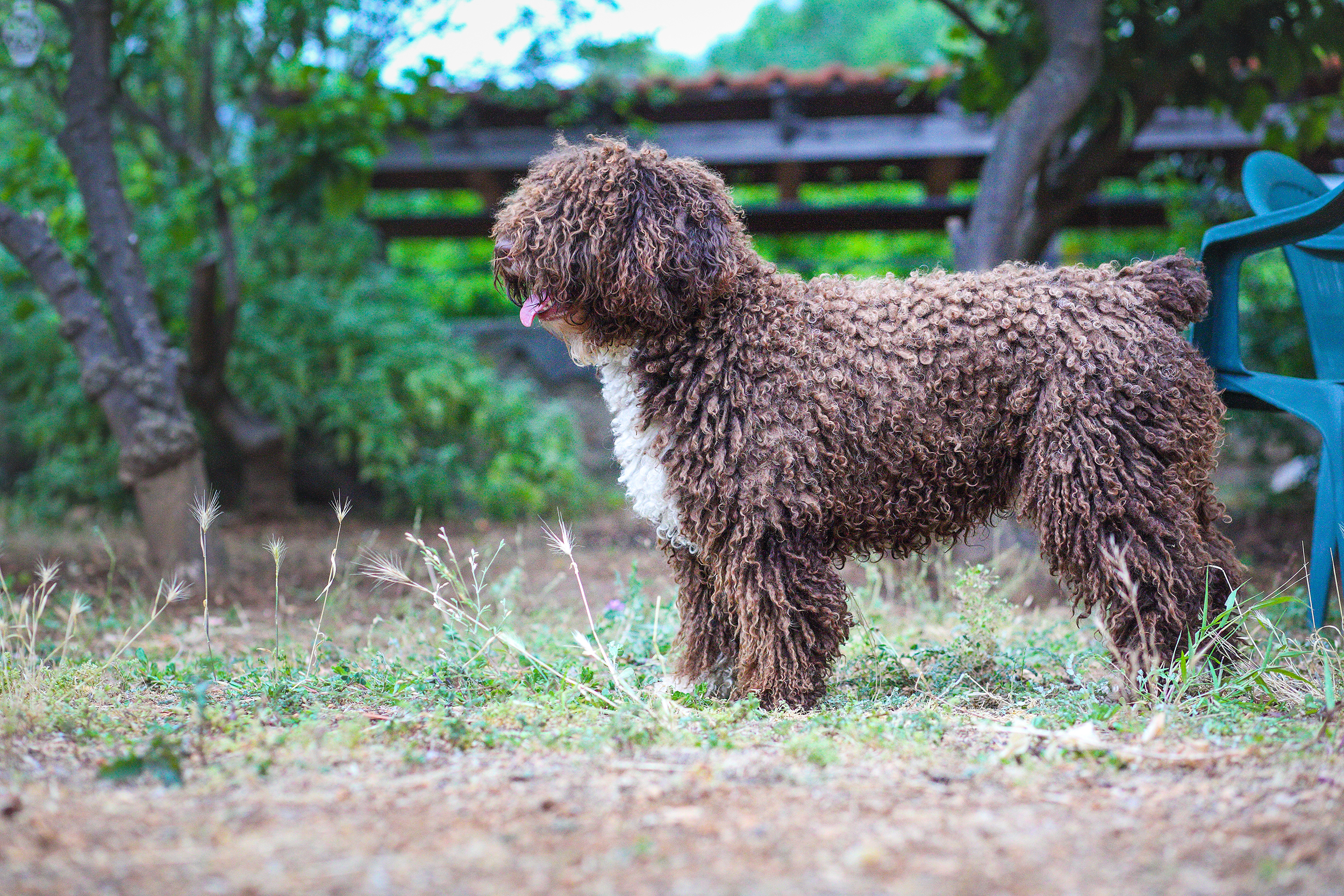 Canina Aqua Deep sea Baby