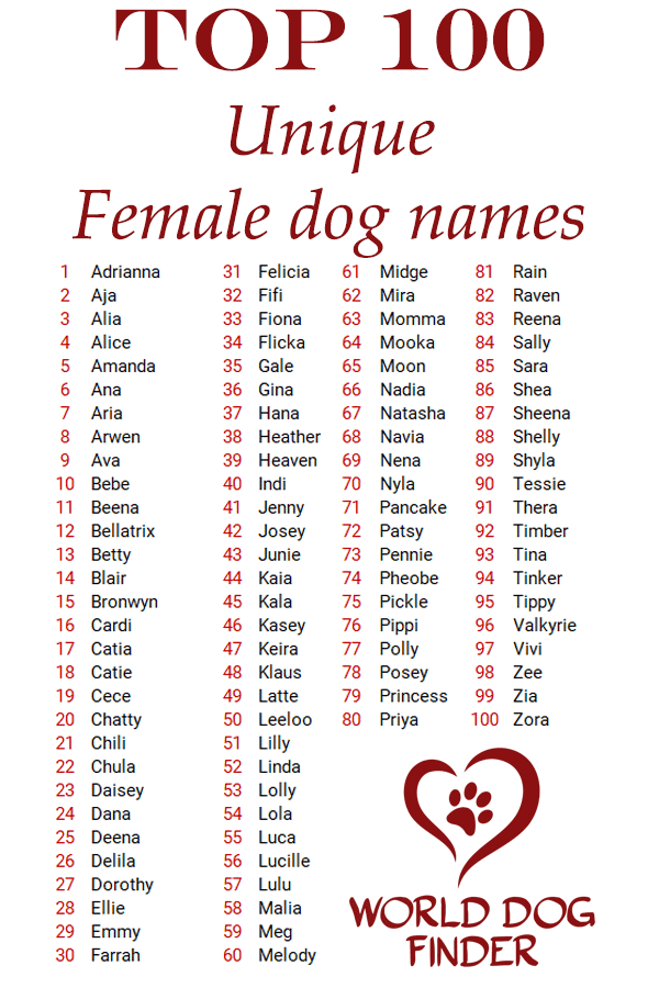 Top 200 Unique Male Female Dog Names World Dog Finder