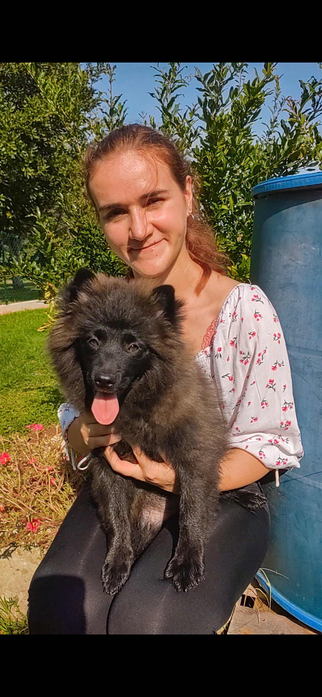 ALF