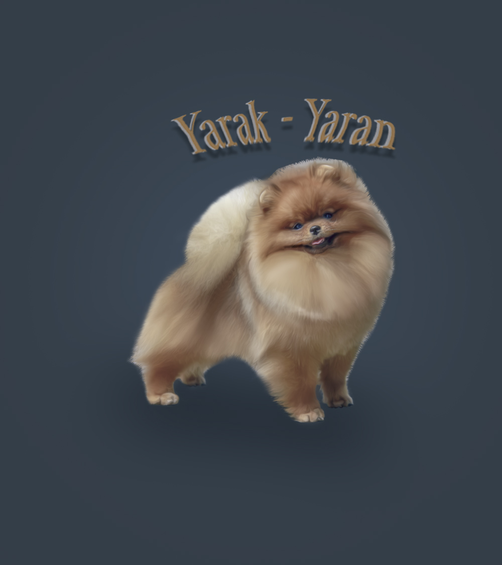 Ярак-Яран (Yarak-Yaran) Dog breeder