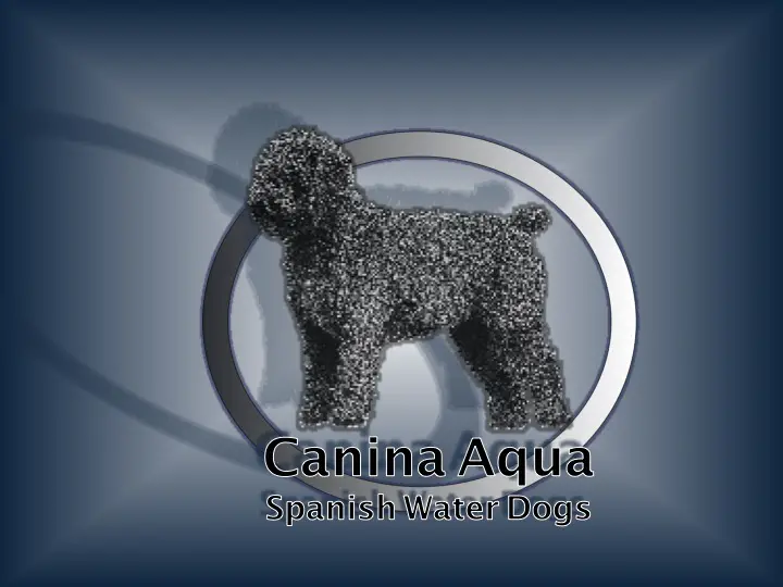 CANINA AQUA Dog breeder