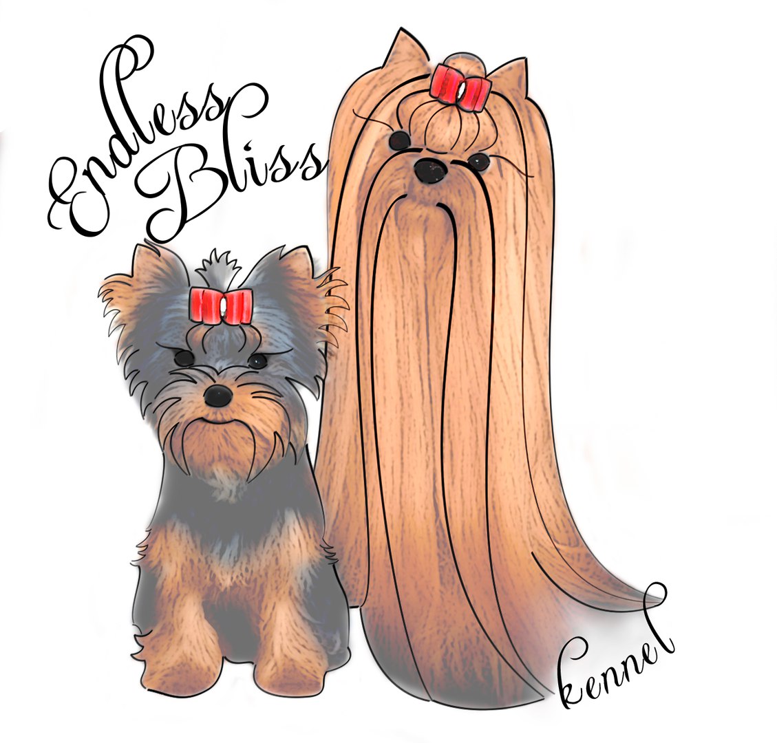 Endless Bliss Dog breeder